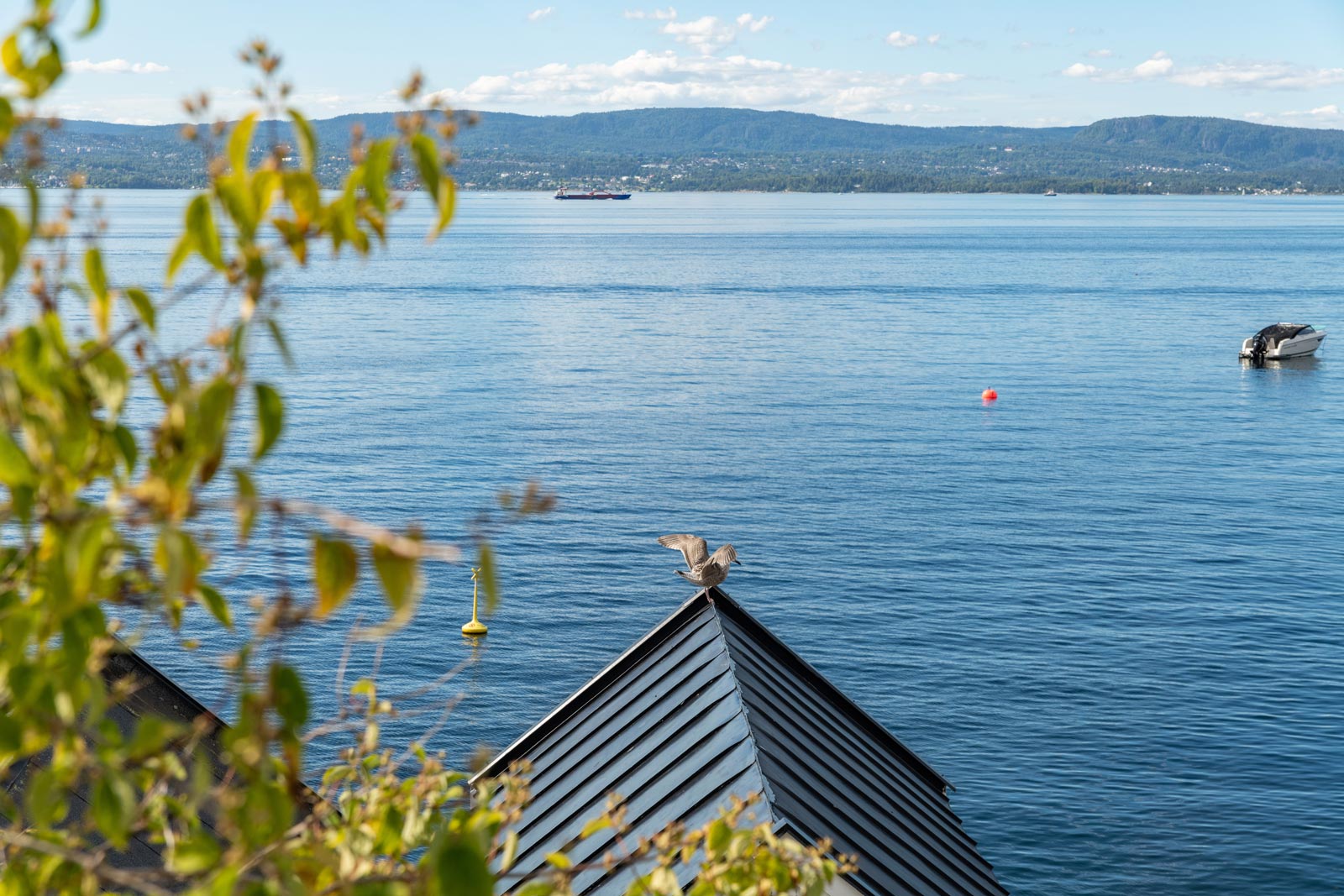 Nye leiligheter og småhus kommer for salg | Sva Nesodden | SPG